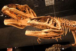 Nyasasaurus Facts And Figures