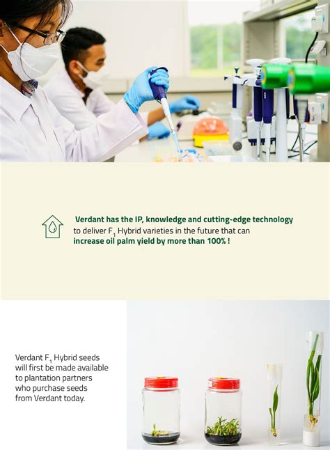 Brochure Verdant Bioscience