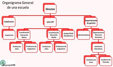 Organigrama De Una Escuela Estructura Y Funciones Gjvf