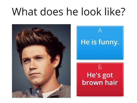 What Does He Look Like What Is He Like Викторина