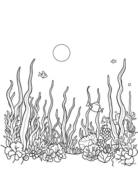 Kelp Forest Coloring Pages