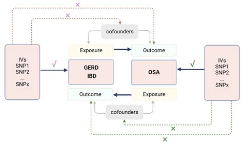 The Design Of Mendelian Randomization Mr Analysis To Assess Causality