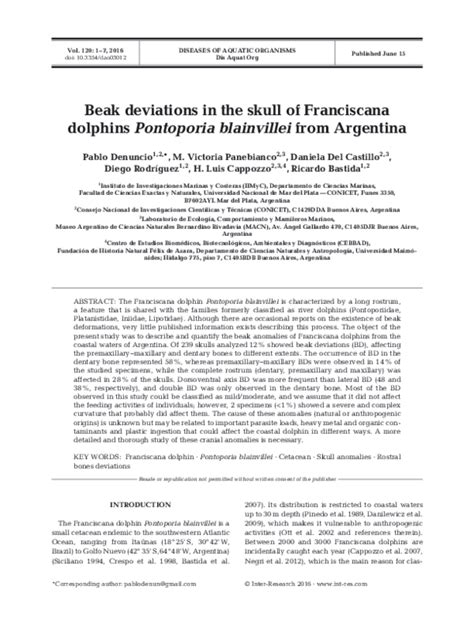 Pdf Beak Deviations In The Skull Of Franciscana Dolphins Pontoporia