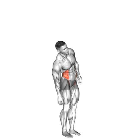 Lumbar Spine Flexion Video Guide And Tips For Effective Exercise