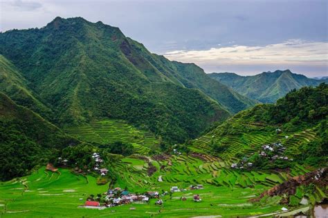 Exploring The Ifugao Rice Terraces A Journey Through Tradition And