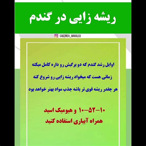 ریشهزاییگندمگندمرشدگندمافزایشتناژگندمکوددهیگندمعلفکش Youtube