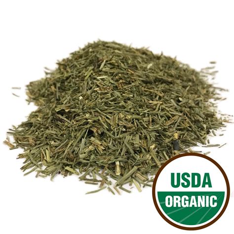 Shavegrass Herb Bestbotanicals