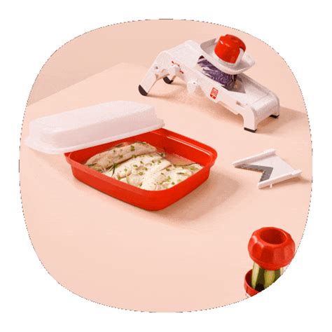 Tupperware Spring 2024 S On Giphy Be Animated