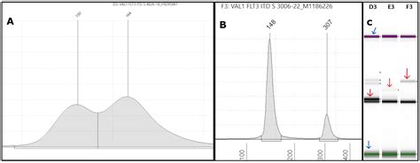 A Modified Flt3 Pcr Assay Using A Tapestation Readout