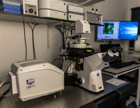 Confocal Microscope Zeiss At Tanner Troy Blog