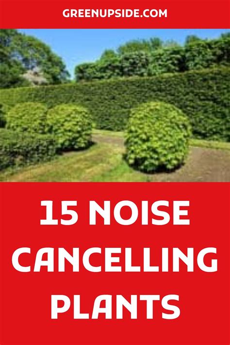 Noise Barrier Artofit