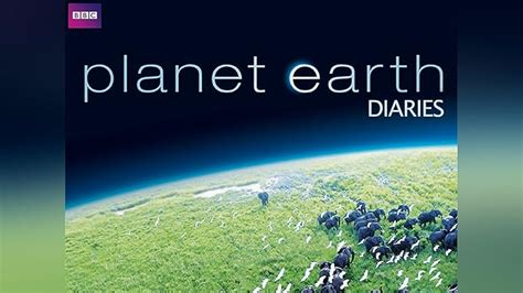 Watch Planet Earth Original Specials Season 1 Prime Video