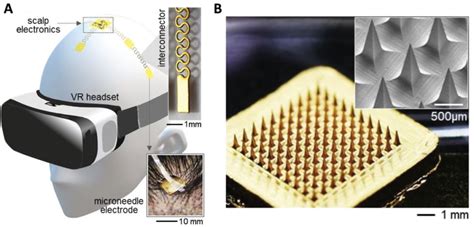 Brainmachine Interface Turns Thoughts Into Actions Physics World
