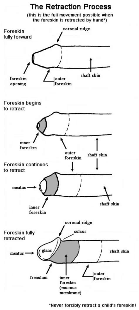 What Is The Correct Definition Of Retraction At Sabrina Thomas Blog