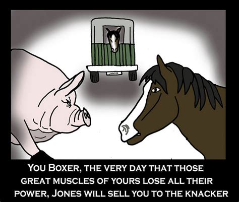 10 Boxer Quotes Animal Farm