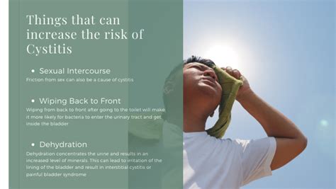 A Guide To Cystitis Nature Supplies