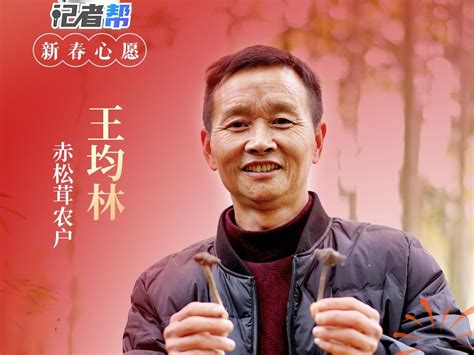 记者帮”新春心愿农户王均林：毛竹林底种上中药材，期盼新的 丰登”