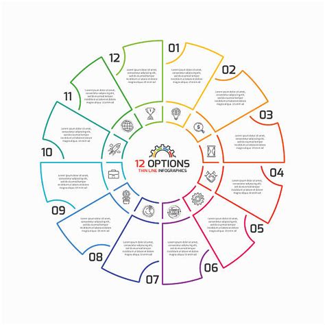 12 Step Infographic Stock Vectors Istock
