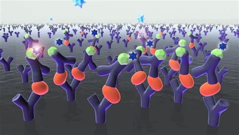 Enzyme Linked Immunosorbent Assay Magipics