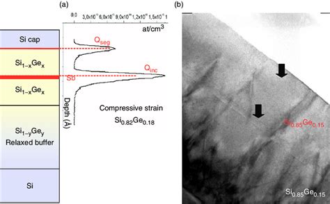 A Schema Of The Complete Structures Fabricated For The Segregation Download Scientific
