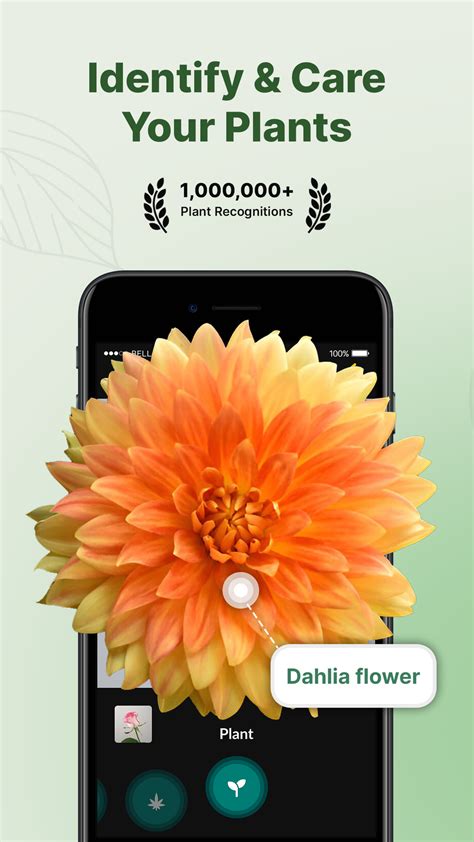 Planton Ai Plant Identifier For Iphone Download
