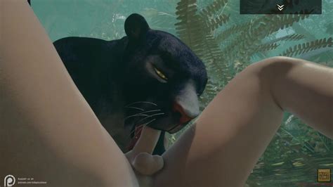 Wild Life Black Panther Hunts Down Her Prey Vídeo De Sexo Grátis Redtube