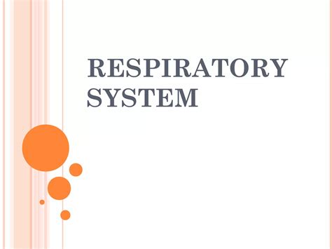 Ppt Respiratory System Physiology Pot Ppt Respiratory System Physiology Pot