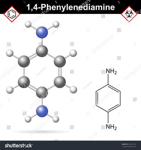 Para Phenylenediamine Chemical Structure 2d 3d เวกเตอร์สต็อก ปลอดค่า