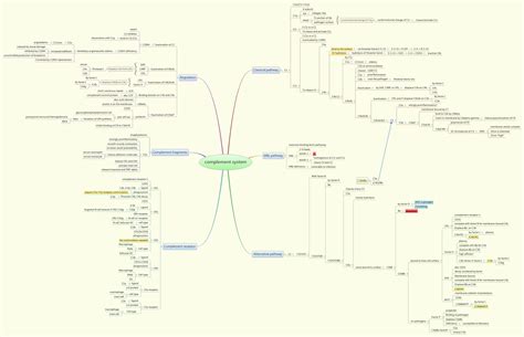 The Complement System Concept Map United States Map