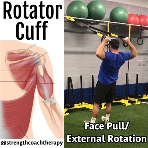 Dr Teddy Willsey Dpt Cscs On Instagram Rotator Cuff👉🏽 — 📝use These