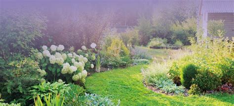 Aménagez Les Extérieurs De Votre Collectivité Avec Kabelis