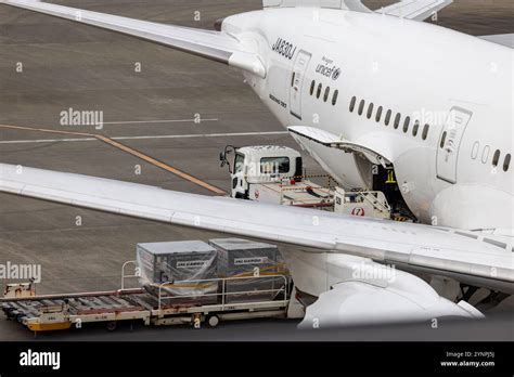 Cargo Loading Operation On A Passenger Aircraft At The Airport Stock