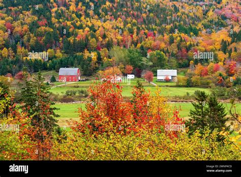 Nova Scotia Fall Foliage Best Time To See Nova Scotia Witdx