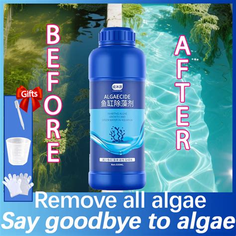 Algae Remover For Aquarium 550ml Non Harm The Fish Water Purification