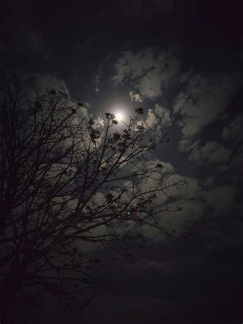 Orange Moonlight Wallpapers Wallpaper Cave