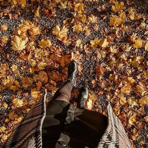 Iryna Lytvynenko On Instagram “🍂🍁🍂”