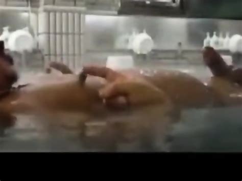 Japanese Sauna Eporner