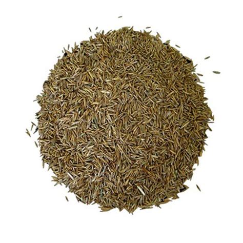 Ray Grass Híbrido Certificado 20 Kg La Tienda De Las Jaras