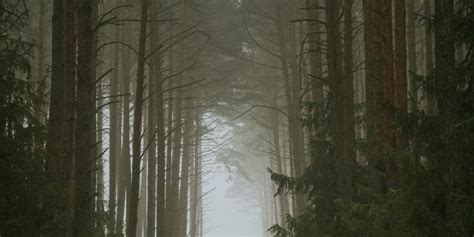 Beware The Function With The Boolean Arg Rjavascript