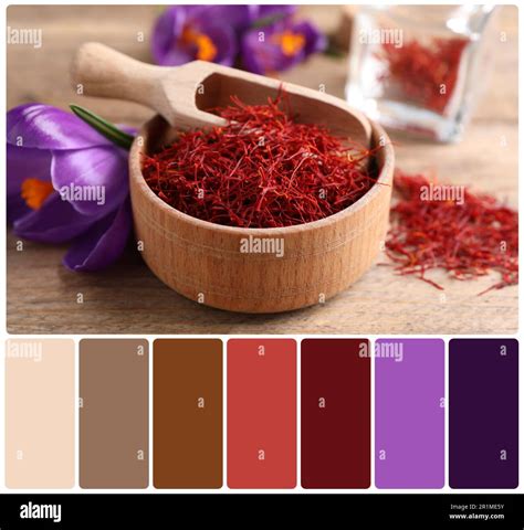 Complementary Dried Cut Out Stock Images And Pictures Alamy