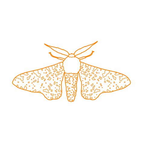 Animals Insects Peppered Moth Outline Svg Vector