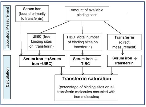Nutritional Assessment Of Iron Status
