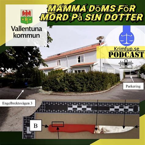 Basak Akman Tilltalad Förhör 1 Mamma Döms Till Livstidsstraff För Mord Och Mordförsök På