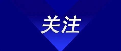 李敏敏带队深入企业开展调研活动新余项目生产