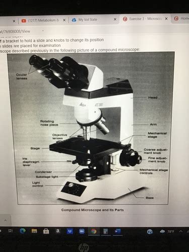 Microscopy Flashcards Quizlet Microscopy Flashcards Quizlet