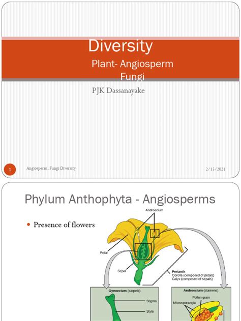 Angiosperm And Fungi Diversity Overview Pdf Fungus Mycology