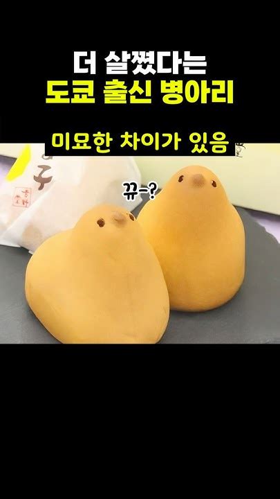 출신성분을 숨겼던 병아리만쥬 Youtube