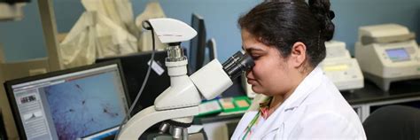 Bioengineering Vs Biomedical Engineering Whats The Difference