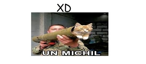 Top Memes De Michi En Español Memedroid