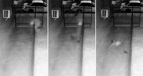 John Kuroski All Thats Interesting